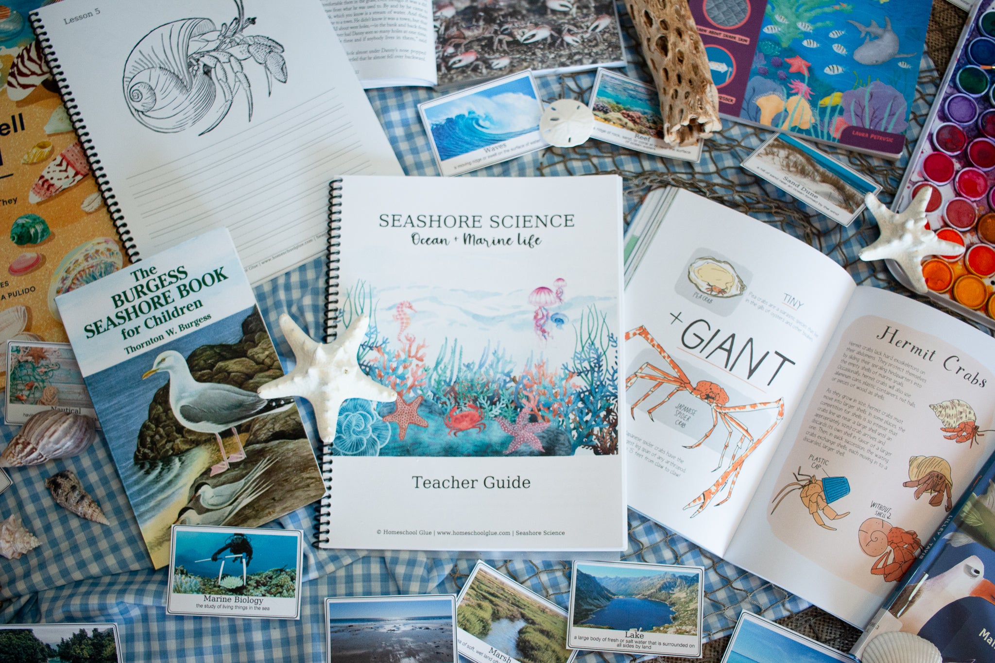 Science – Homeschool Glue